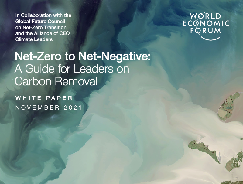 Leaders for Sustainable MENA - Net-Zero to Net-Negative: A Guide for ...
