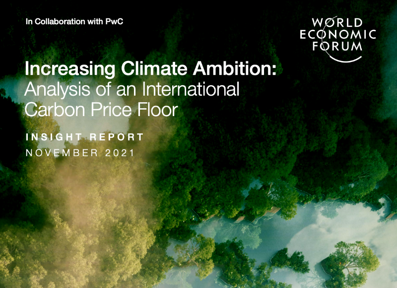 Alliance of CEO Climate Leaders - Reports