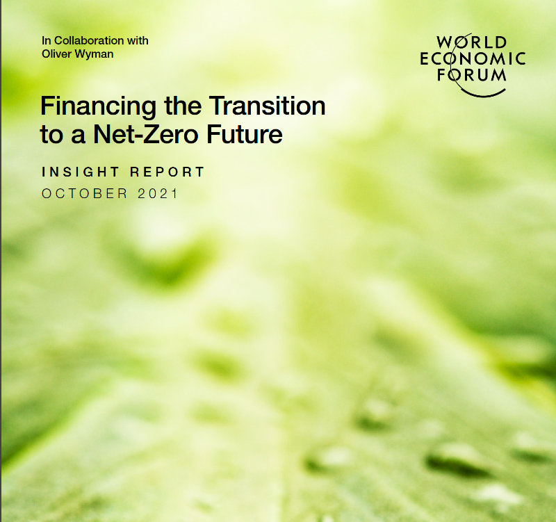 Alliance of CEO Climate Leaders - Financing the Transition to a Net-Zero Future