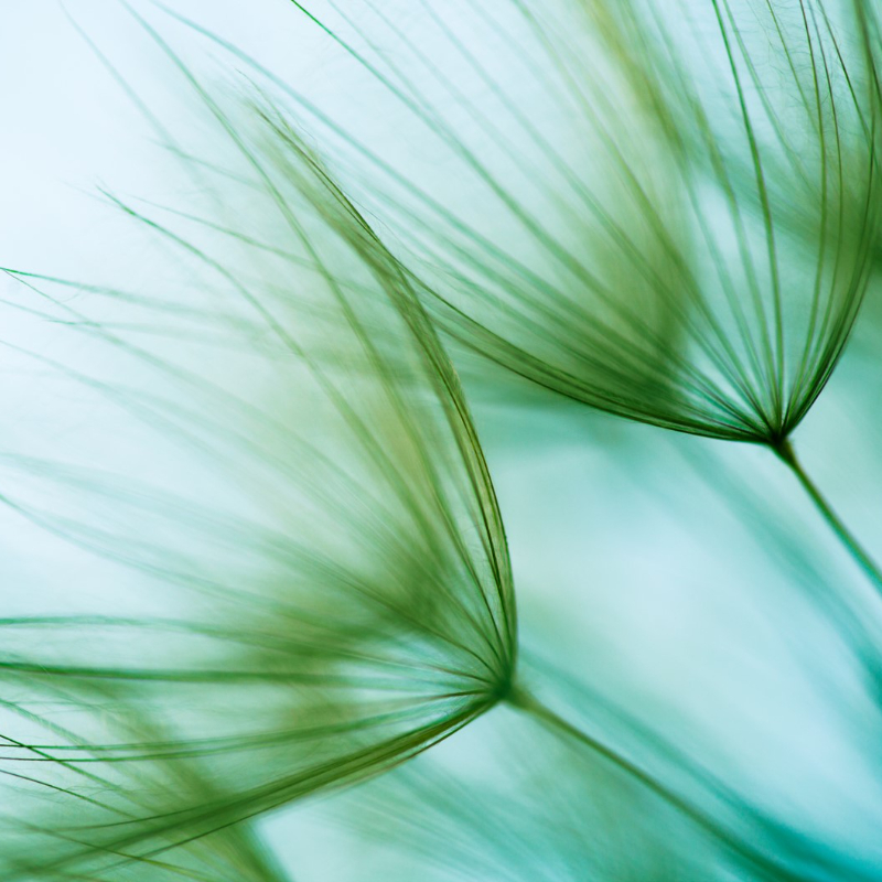 Case Studies - Industry Net Zero Accelerator