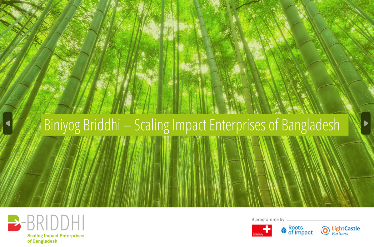 Humanitarian and Resilience Investing - Commitments