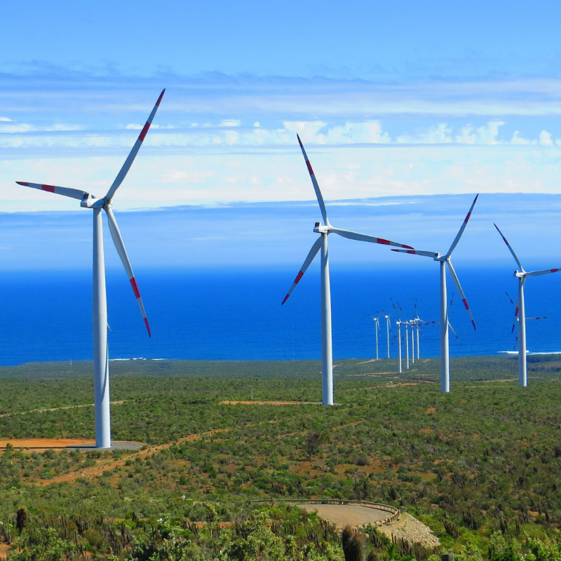 Playbook of Solutions - Case Studies