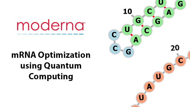 The Quantum Economy Network - Quantum mRNA Optimization