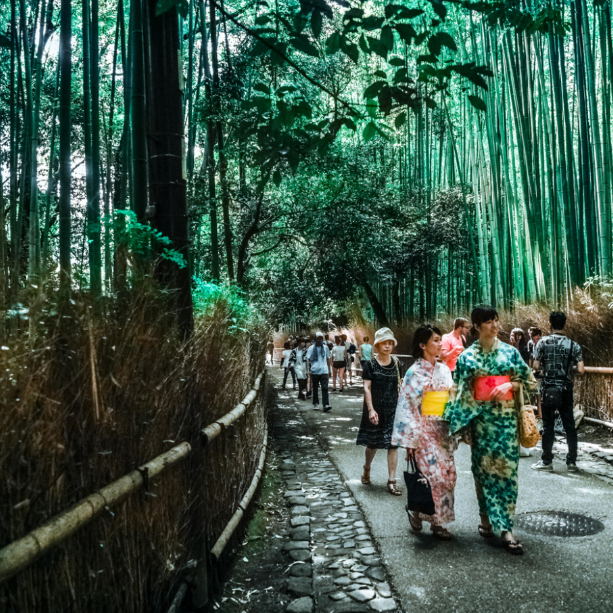 Global Gender Parity Sprint - Japan Gender Parity Accelerator