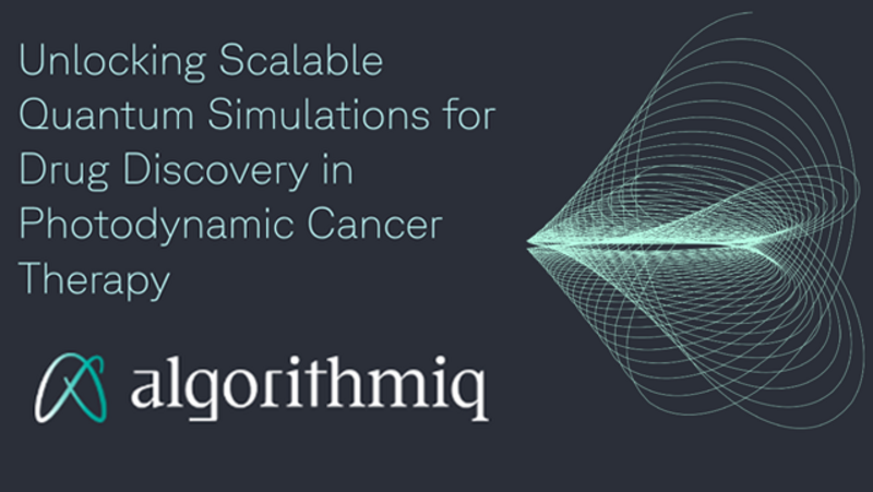 The Quantum Economy Network - Quantum Computing for the Discovery of ...